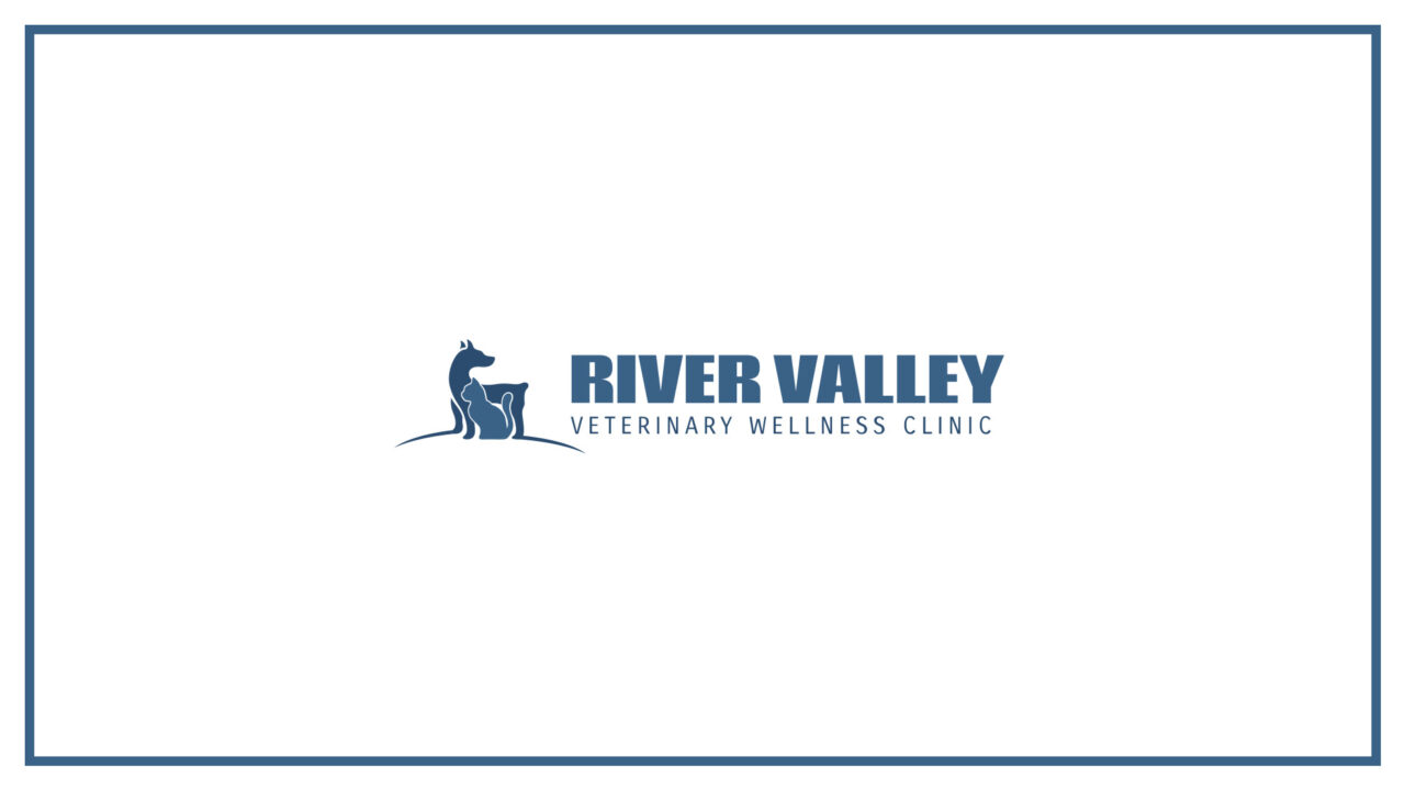 The 6 Best Veterinarians in Edmonton [2026 ]