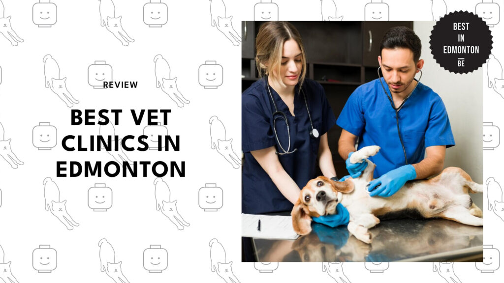 13 Best Vet Clinics in Edmonton [2026 ]