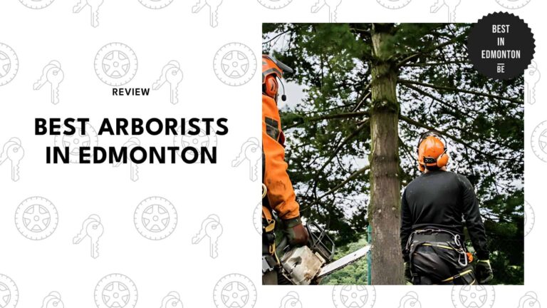 The 6 Edmonton Arborists Who Know Trees Inside and Out [2026 ]