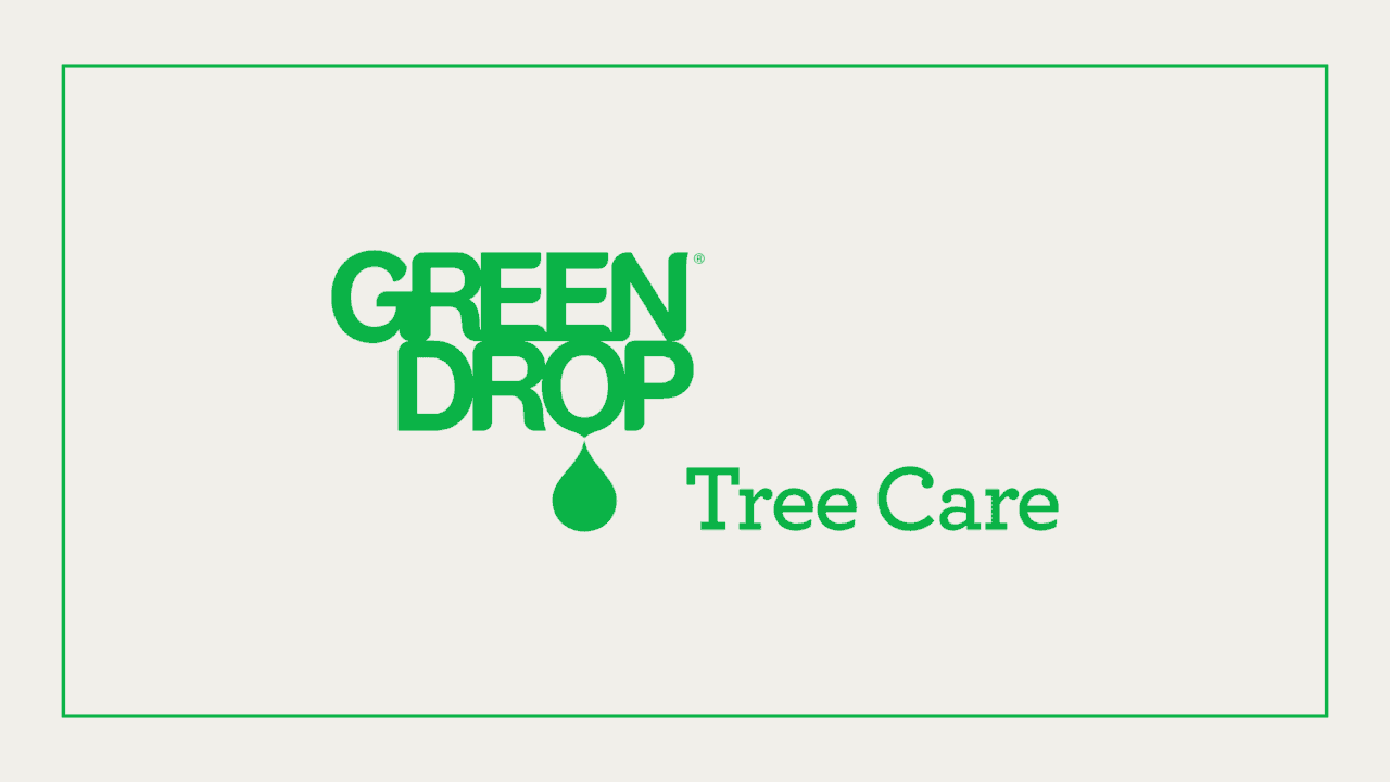 The 5 Edmonton Arborists Who Know Trees Inside and Out [2026]